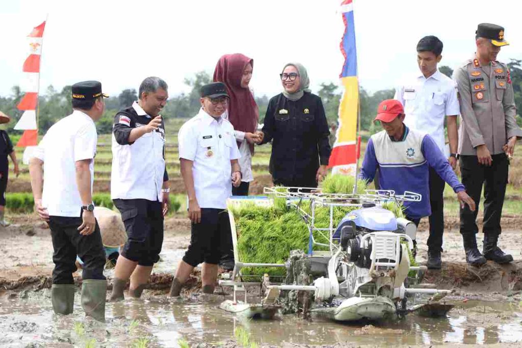 Gerakan Indonesia Menanam, Lampung Pacu Produksi Padi dan Serapan Gabah ...